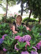 NurseryWorld - Gateway to the NZ Nursery Industry